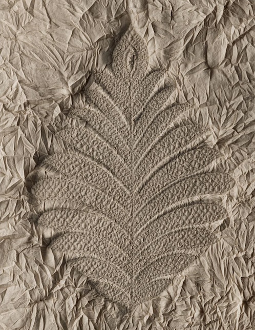 Set edredón Esquimal Luxus 2